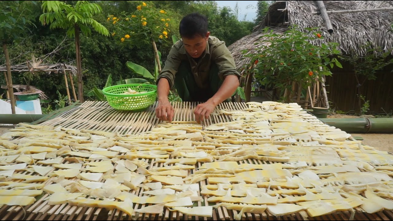 Harvesting wild bamboo shoots to dry as food to prepare for winter Ep ...
