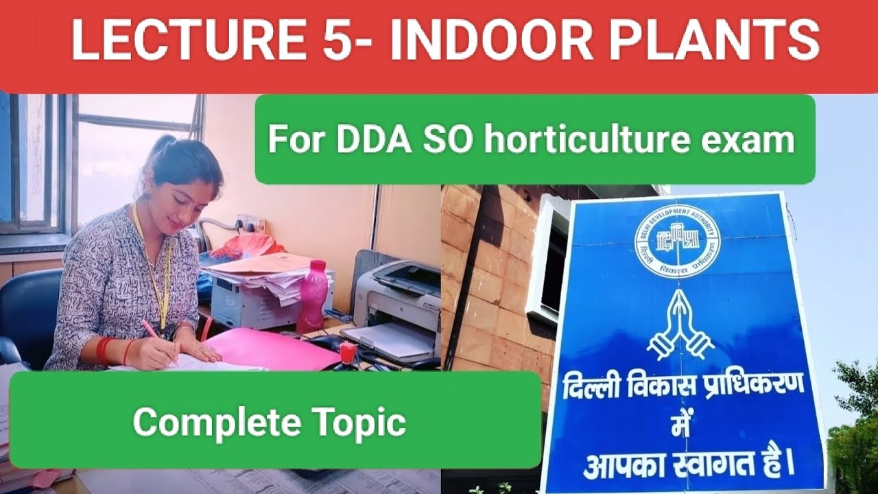 DDA SO EXAM - LECTURE -5 INDOOR PLANTS #horticulture :#DDA # ddaso ...