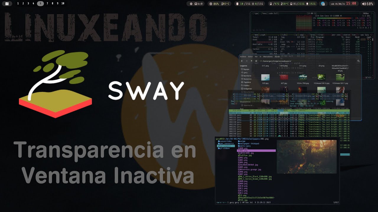 Transparencia de ventana inactiva en sway/swayfx (wayland) - YouTube