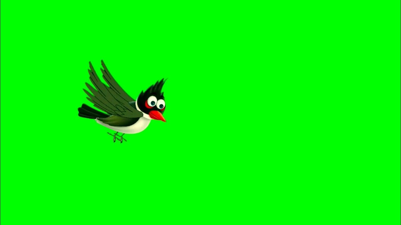 No Copyright Green Screen Cartoon Bird - YouTube