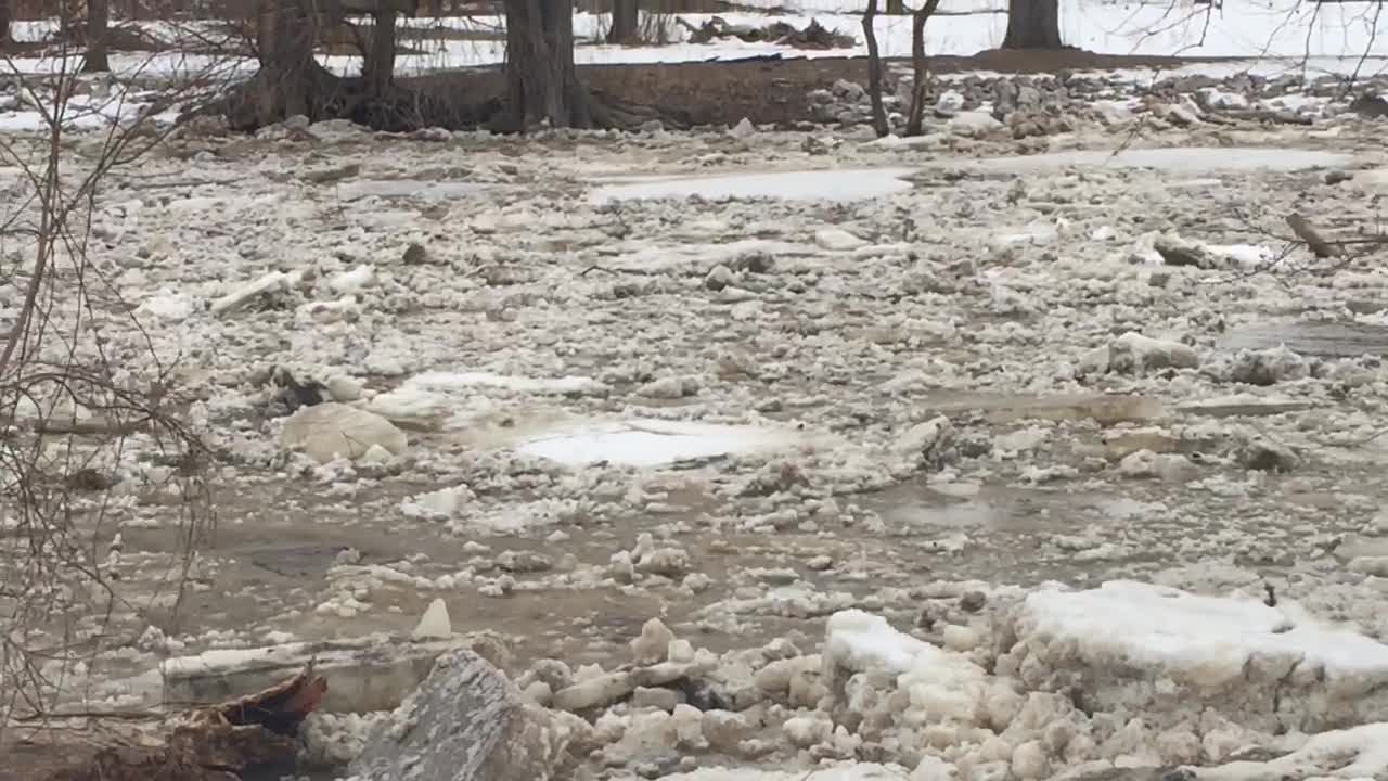 Grand River ice jam on the move - YouTube