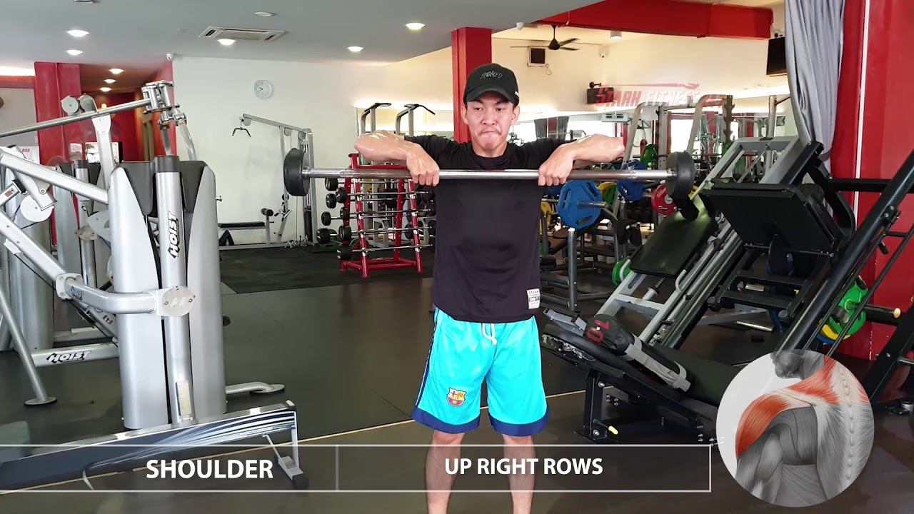 Back shoulder part - Up right rows - YouTube