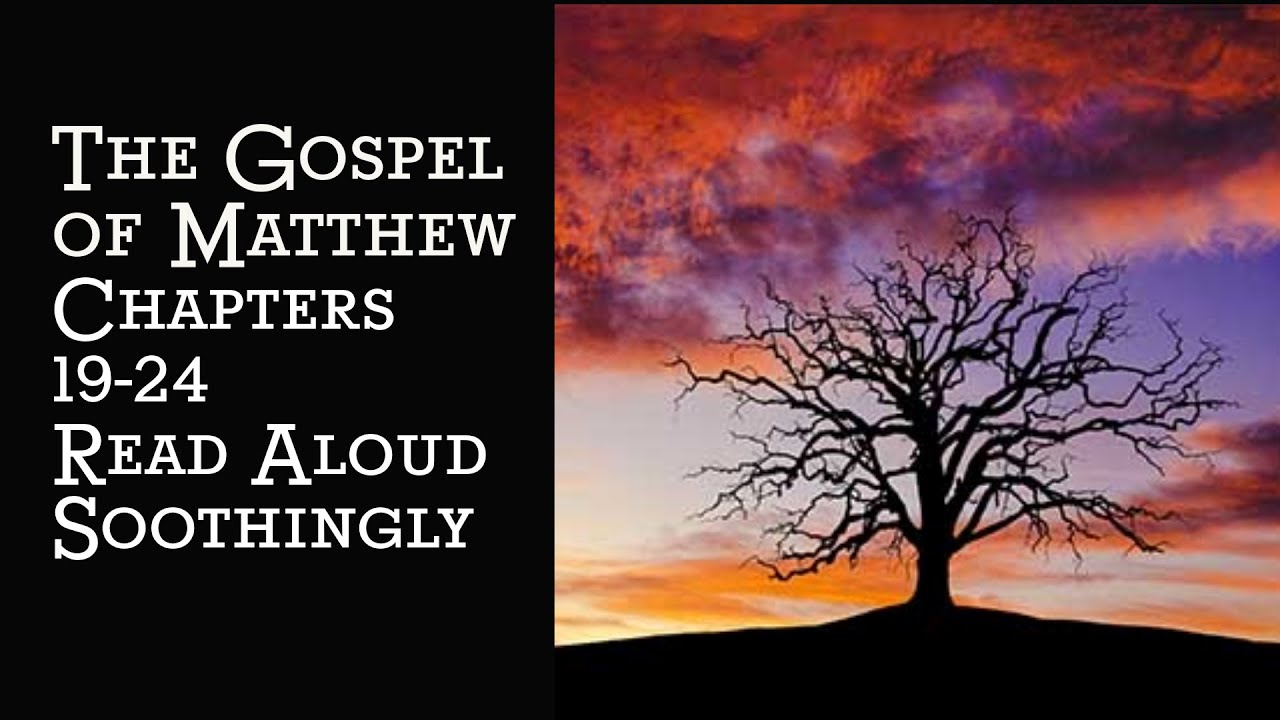 The Gospel of Matthew Chapters 19-24 Read Aloud Soothingly - YouTube