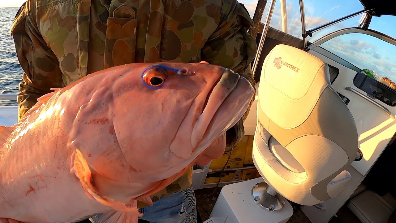 Fishing 1770/Great Barrier Reef off Gladstone - overnight trip part 2 ...