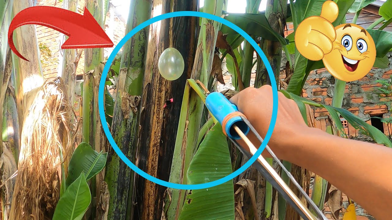 How to\ make slingshot form INNER TUBE & PVC PIPE (TEE) - YouTube