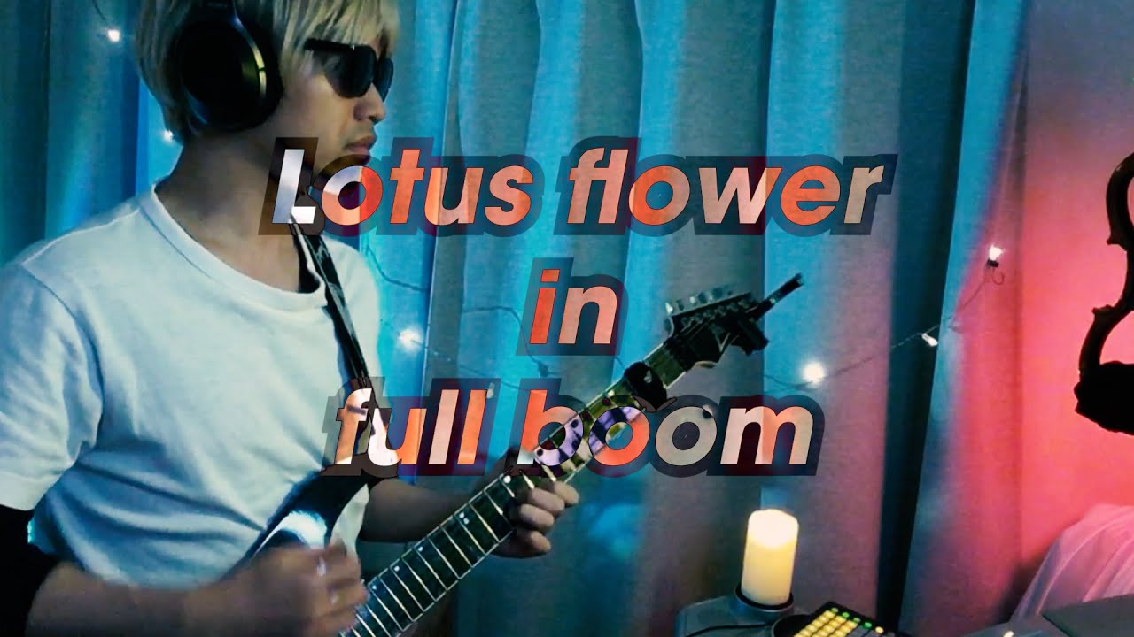Lotus flower in full boom (Music video) Johnny JAM - YouTube