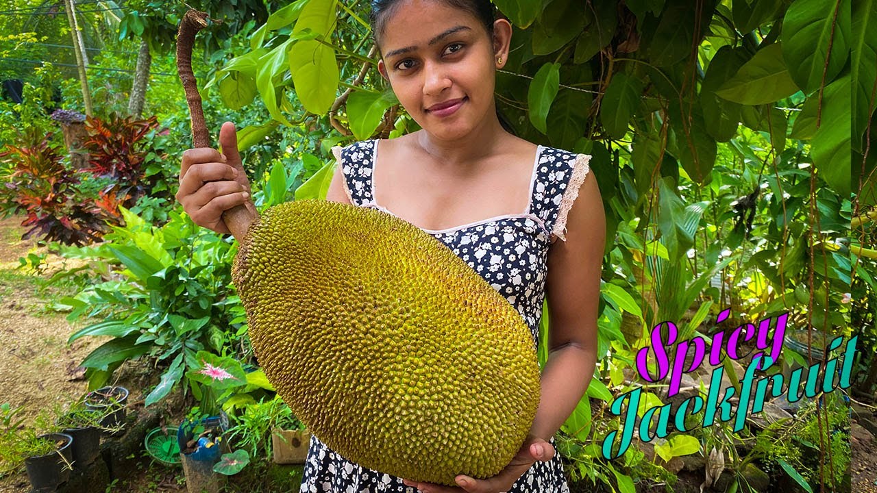 Fresh Jackfruit makes delicious dishes | Sri Lankan jackfruit recipe - YouTube