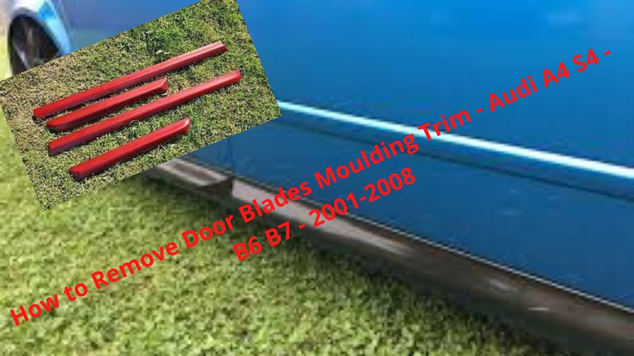 how-to-remove-door-blades-moulding-trim-audi-a4-s4-b6-b7-2001