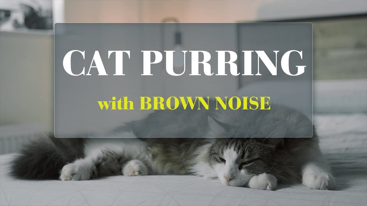 Cat Purr Sounds with Brown Noise | Stress Relief, Relaxation & Sleep ...