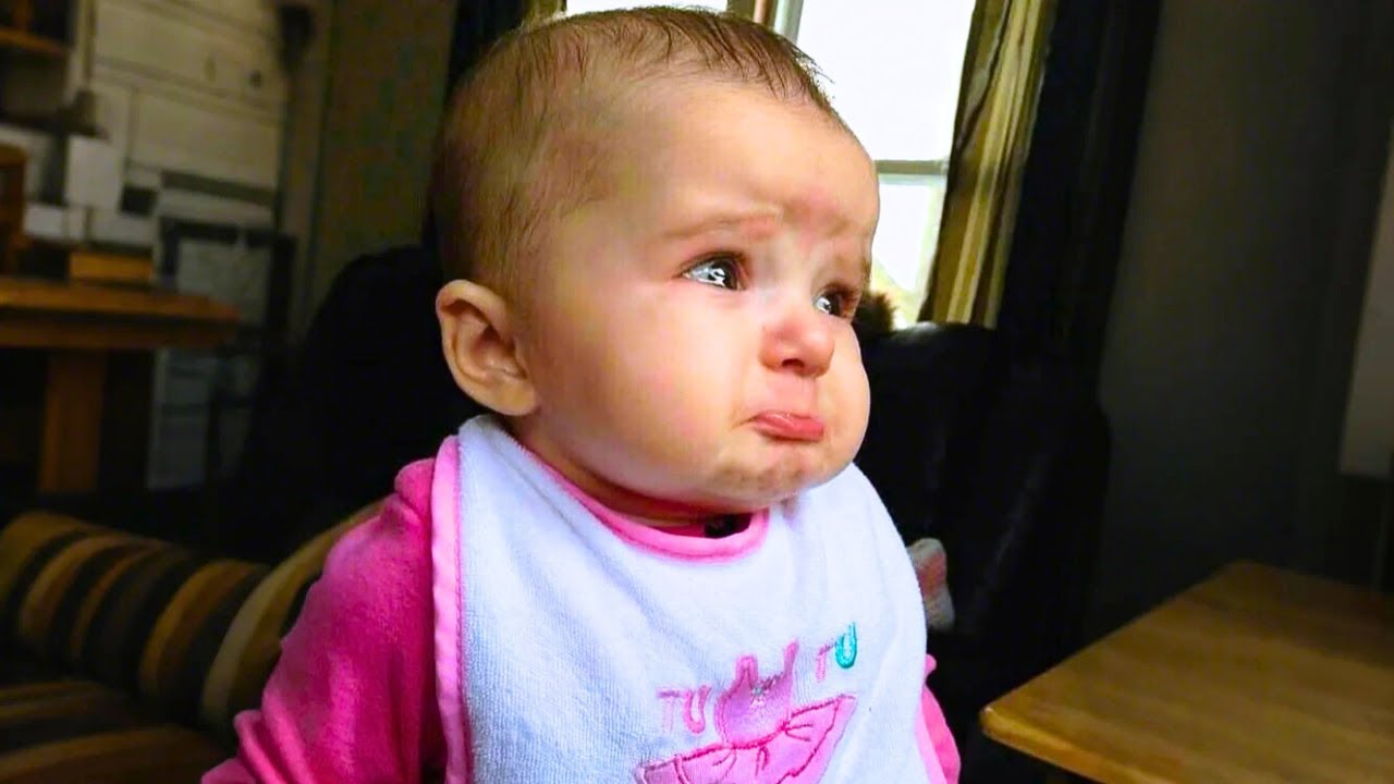TOP OF THE WEEK - Cute Baby Videos Compilation - YouTube
