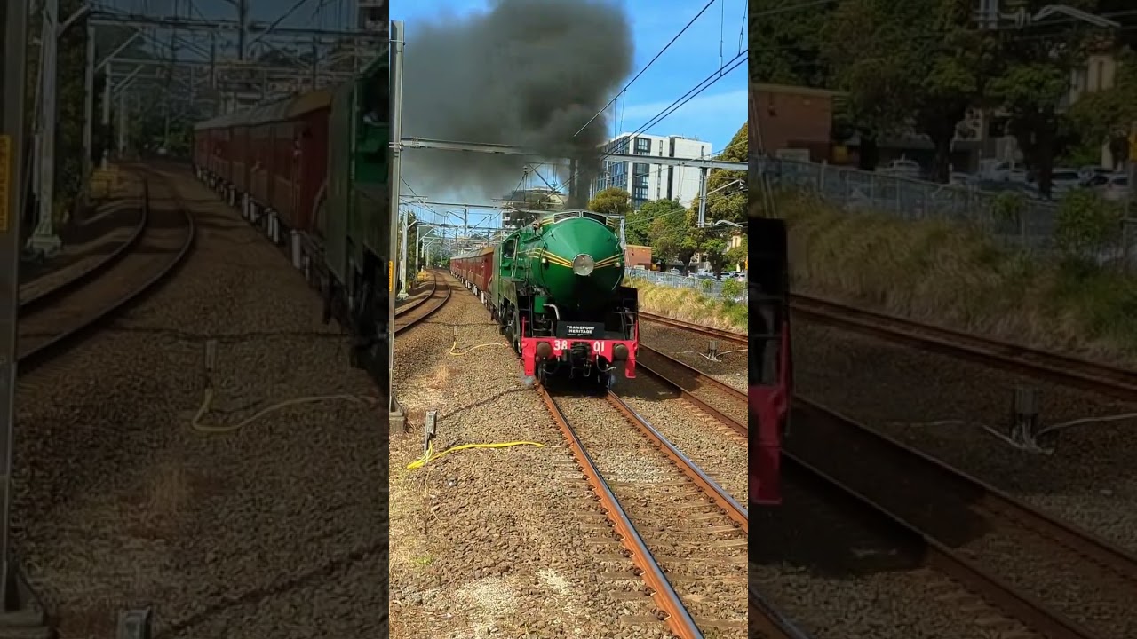 Steam Engine 3801 passes through Carlton on relay run to Hurstville ...