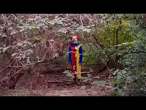 5 Videos Más Aterradores Tomados En Bosques