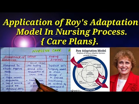 Roy's model Application in nursing process | nursing care plan ...
