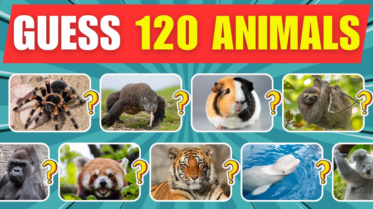ULTIMATE ANIMAL QUIZ 🐶🦁 || Can You Guess All 120 Creatures 🤔 || Easy ...