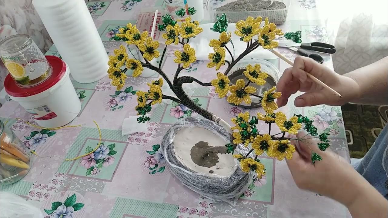 часть 6, цветущий бонсай.VID 20220813 151859 - YouTube