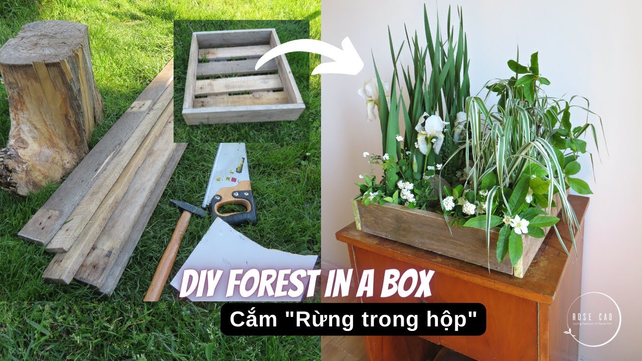 Tutorial: DIY Forest in a box/ Công đoạn cắm tác phẩm rừng trong hộp ...