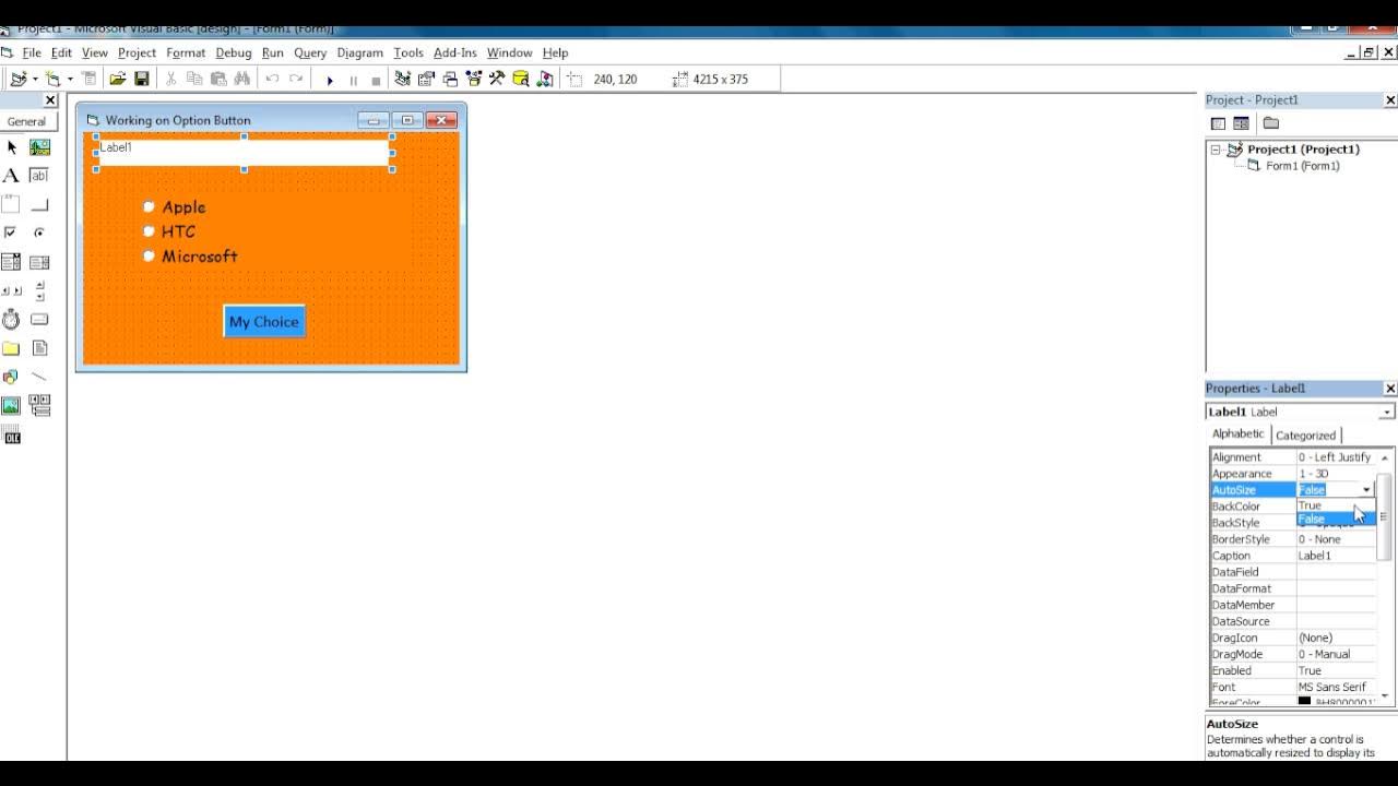 Option Button In VB 6.0 - YouTube