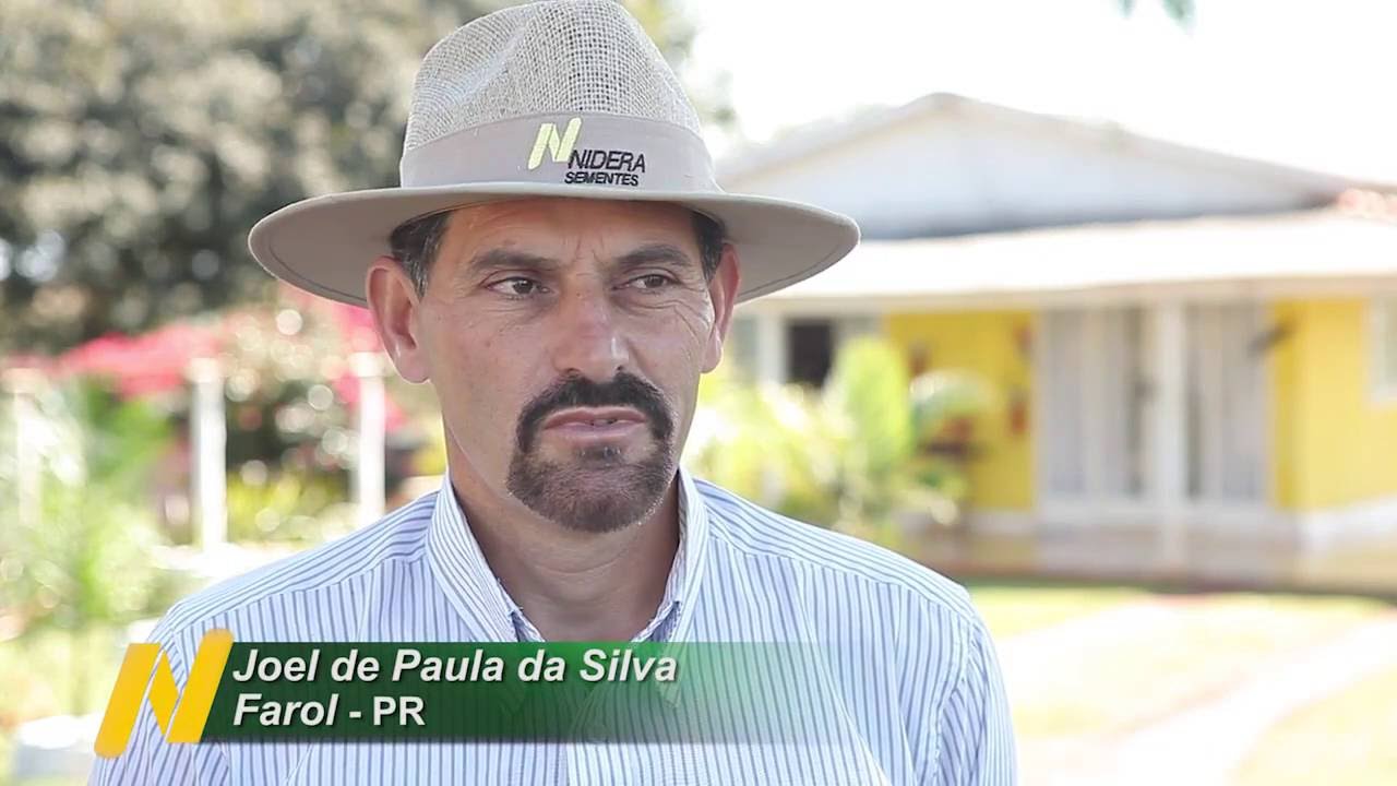 NIDERA SEMENTES - NS 50 Agricultor Joel de Paula da Silva - YouTube