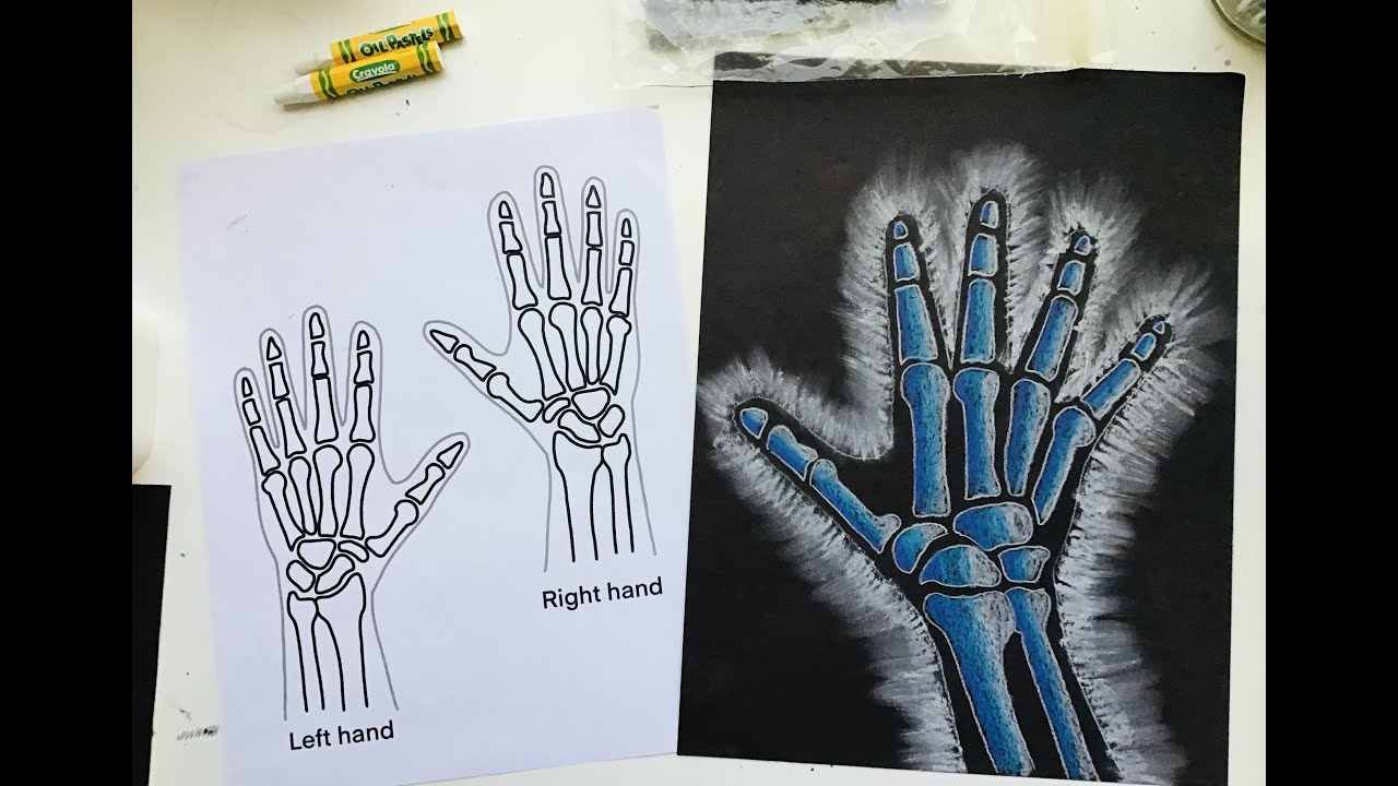 Skeleton Left Hand Replica Human Hand Articulated For Sale — Skulls