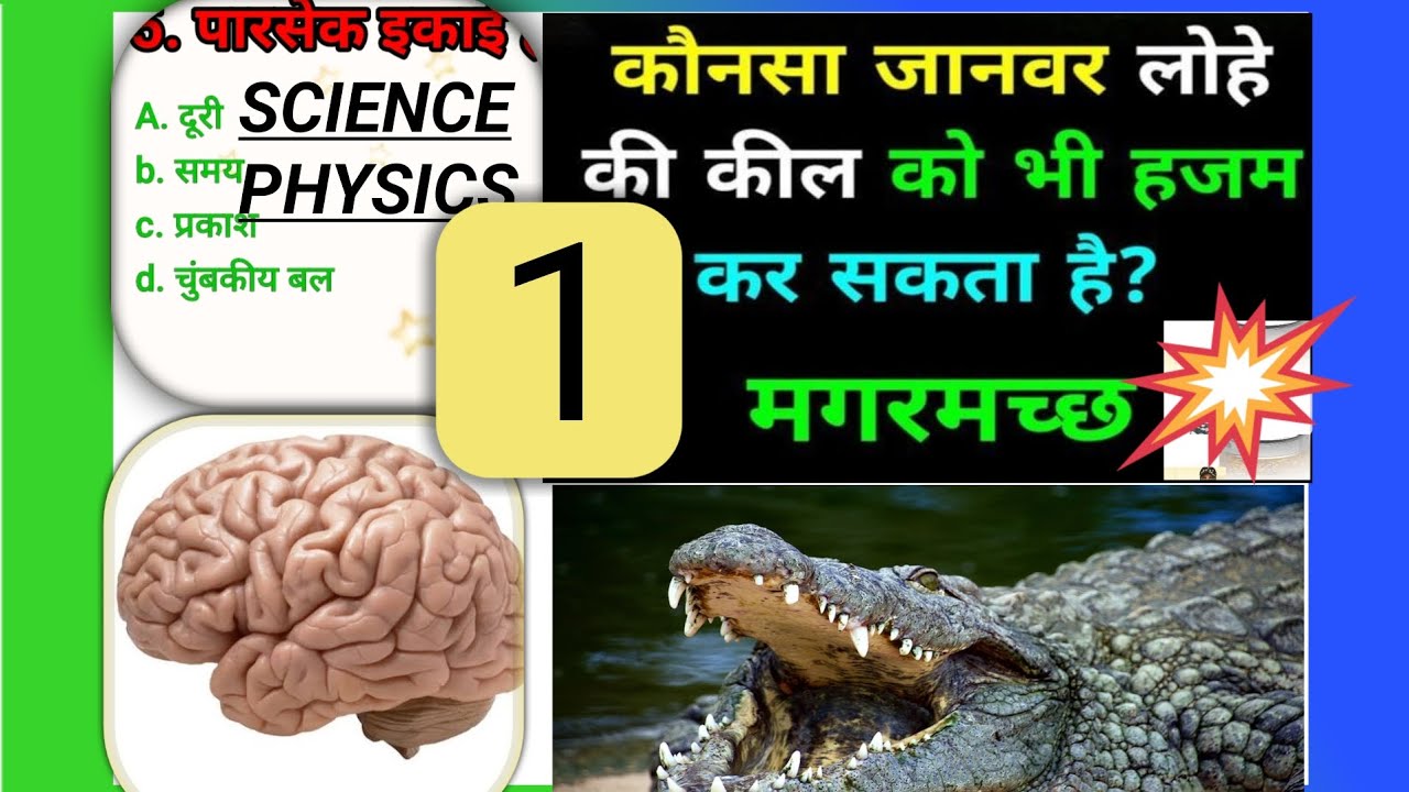 science gk/gk science/gk science question and answer - YouTube