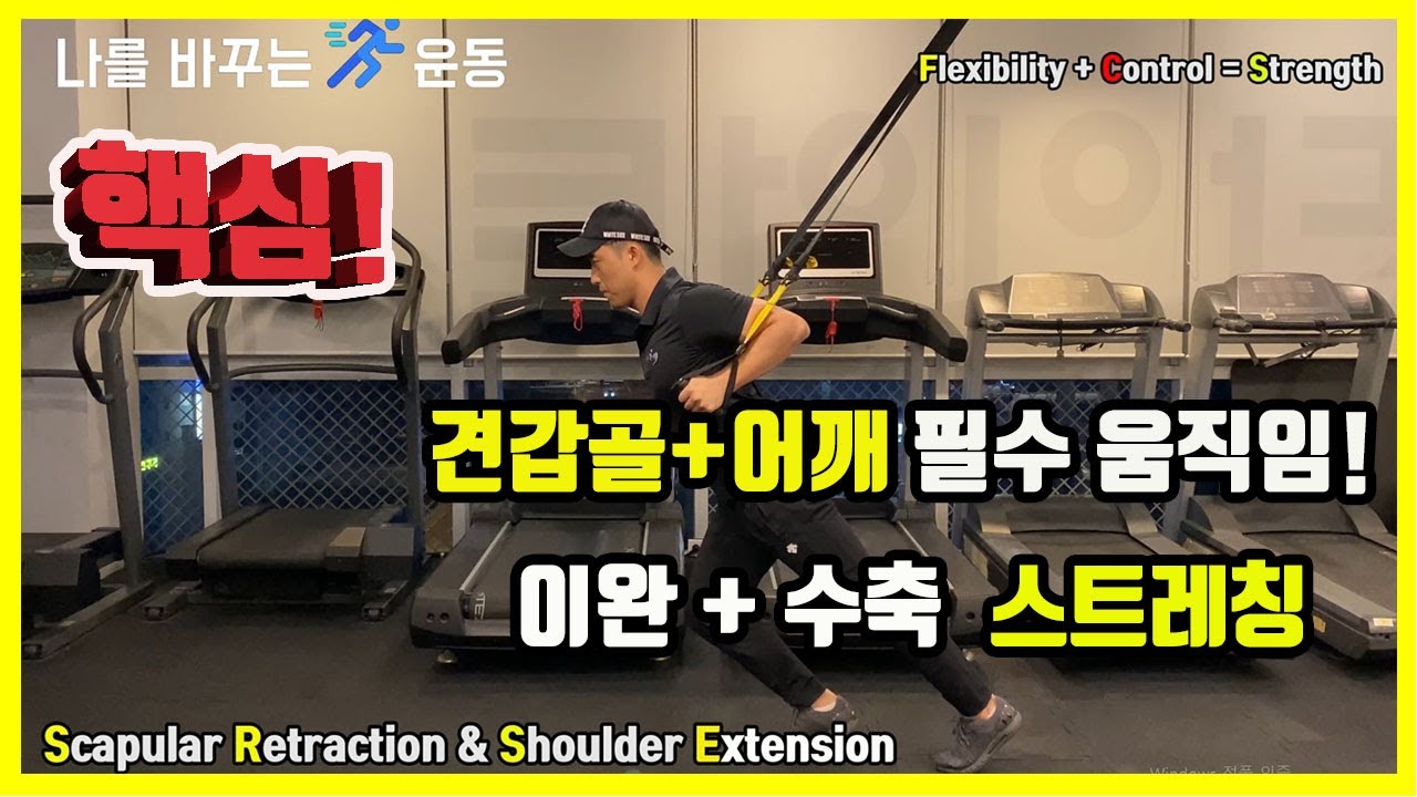11. 상체운동에서 중요한 견갑골 움직임 스트레칭 Scapular Retraction, Shoulder Extension ...