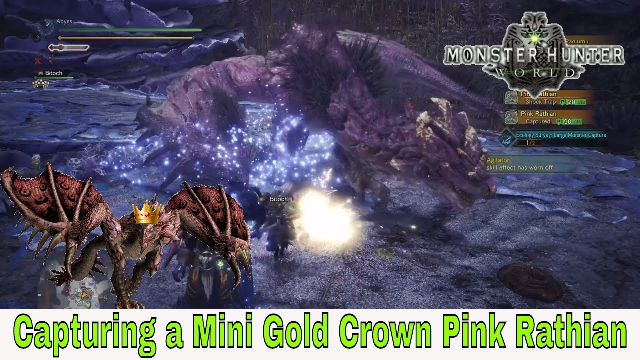 Monster Hunter: World - Mini Gold Crown Pink Rathian (Capturing a Pink ...