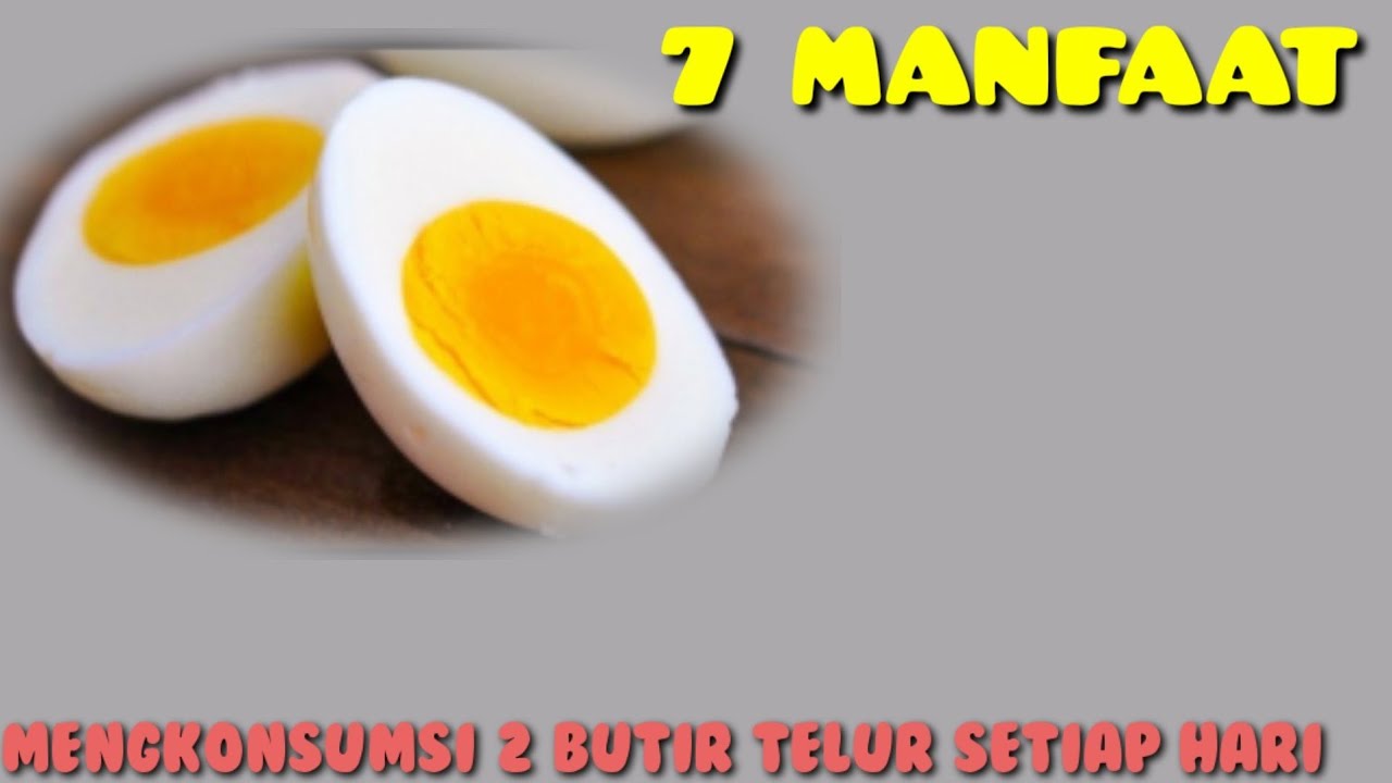 Manfaat Mengkonsumsi 2 Butir Telur setiap Hari, - YouTube
