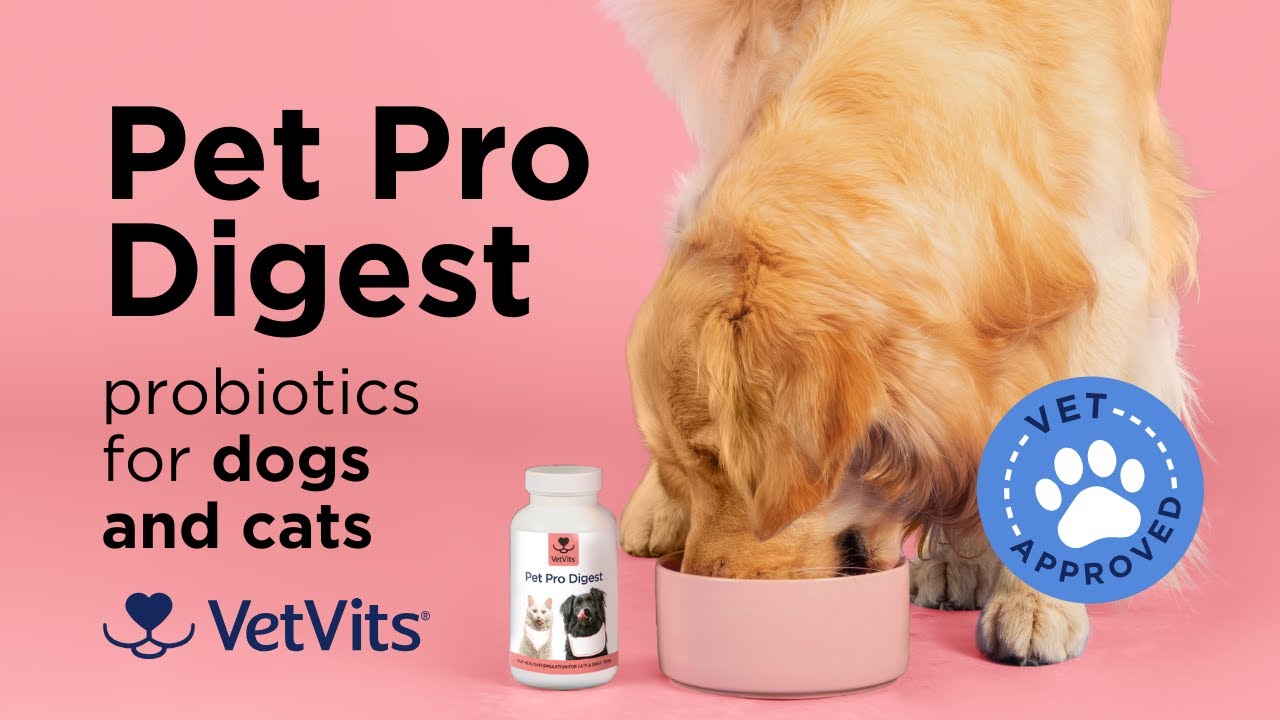 Petjoy Pro Digest Reviews