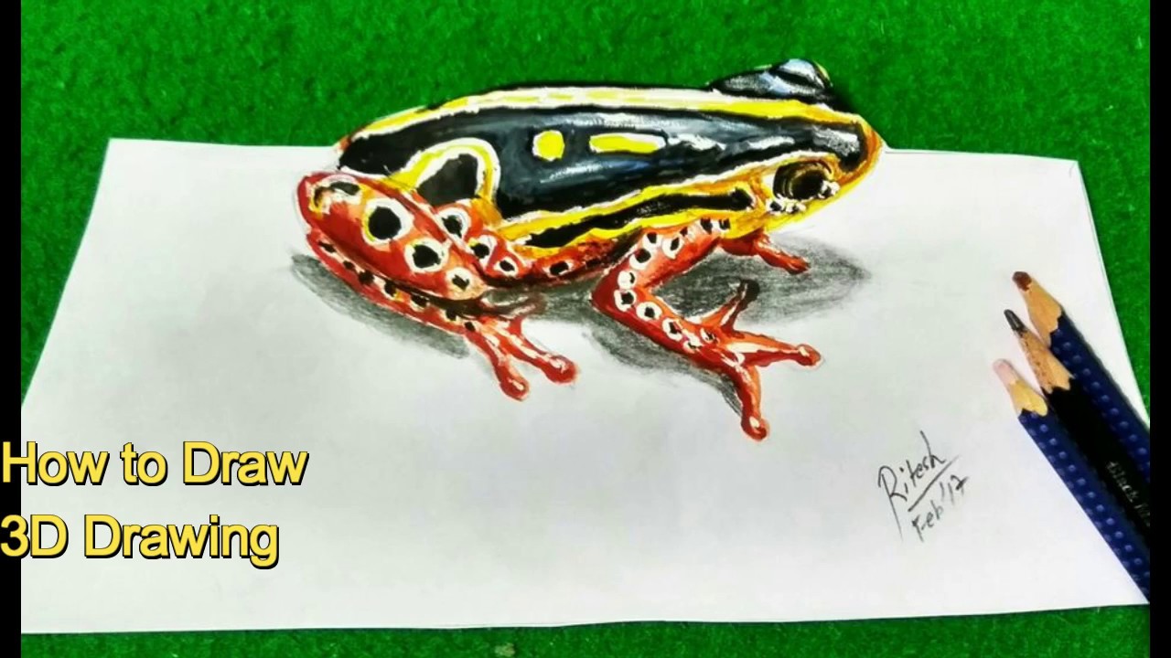 Cool 3D Drawing | How to draw 3D drawing of frog on paper | Easy 3d ...