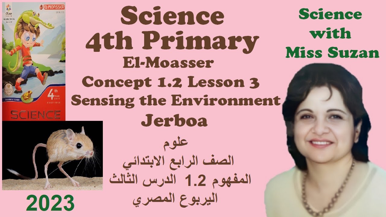 Science Primary 4 Concept 1.2 Lesson 3 Sensing the Environment ( Jerboa ...