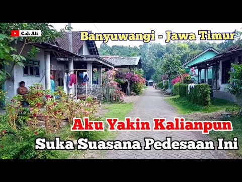 ADEM TENAN, SUASANA PEDESAAN JAWA TIMUR - KAMPUNG BARU BANYUWANGI
