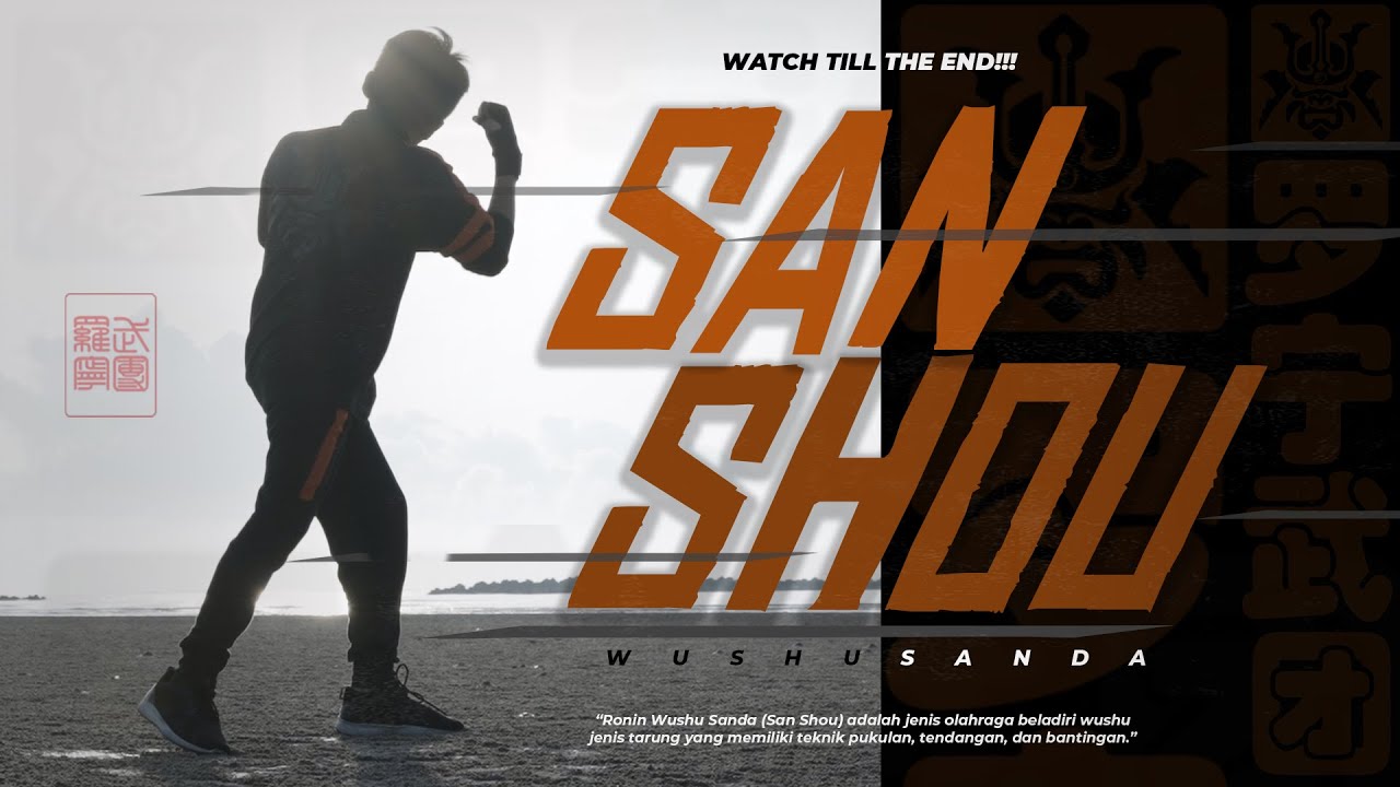 Wushu Sanda a.k.a San Shou - Martial Art Activities for Pre-Teens to ...