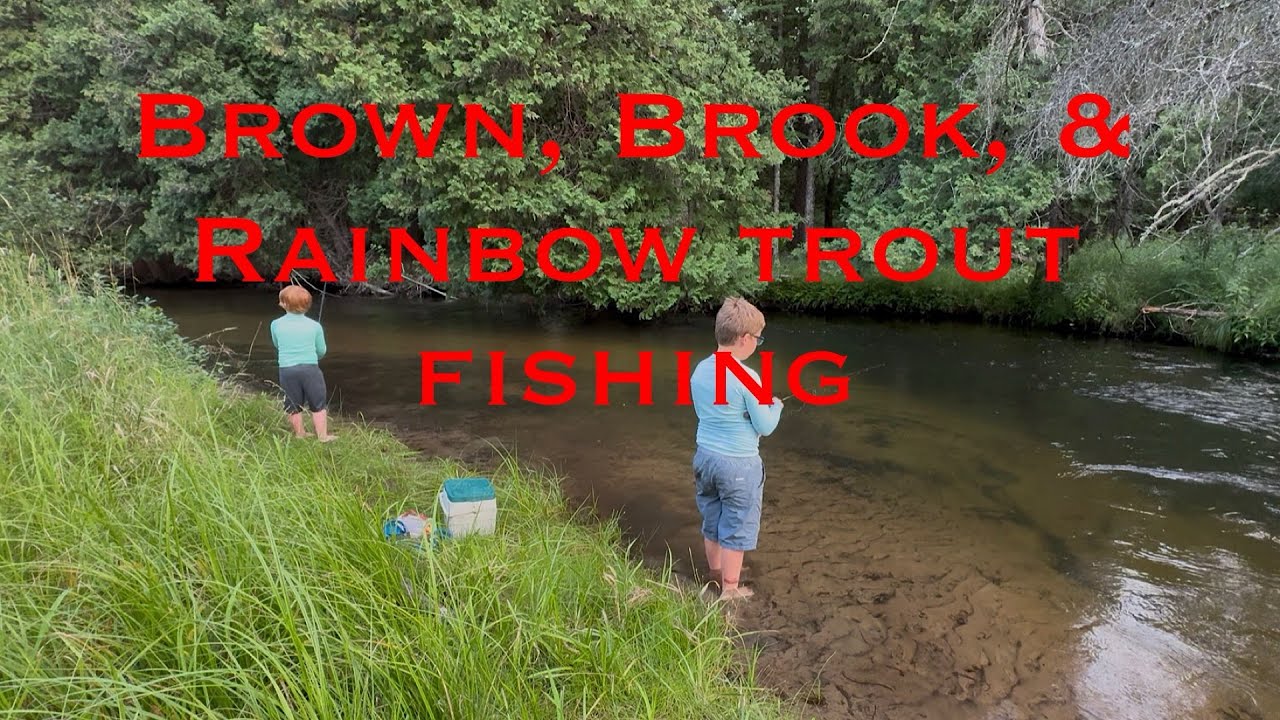 Brown, Brook, & Rainbow Trout Fishing - YouTube