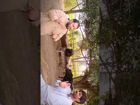 Traditional irrigation of water ...meetha kunwa - YouTube