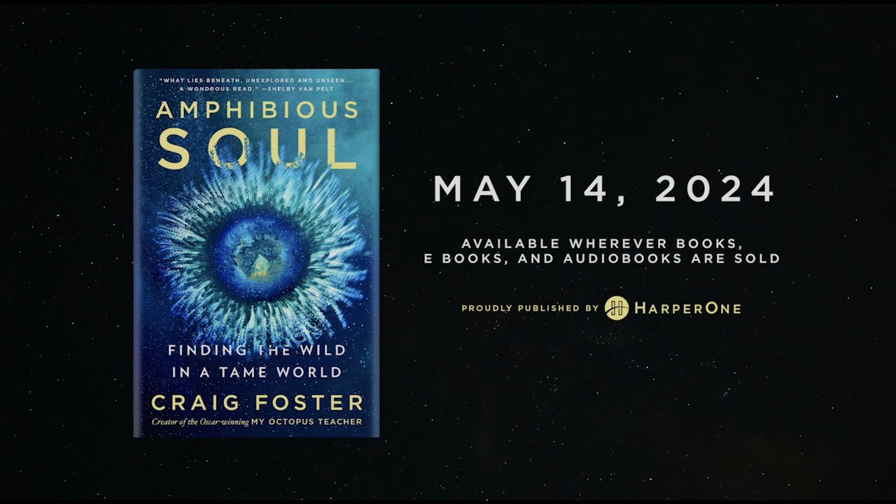Amphibious Soul by Craig Foster - YouTube