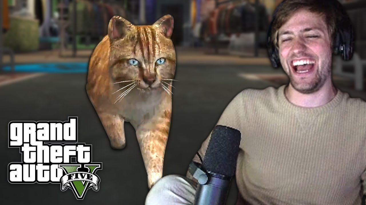 ASSASSINATING COPS as a cat! | GTA RP NoPixel 3.0 - YouTube