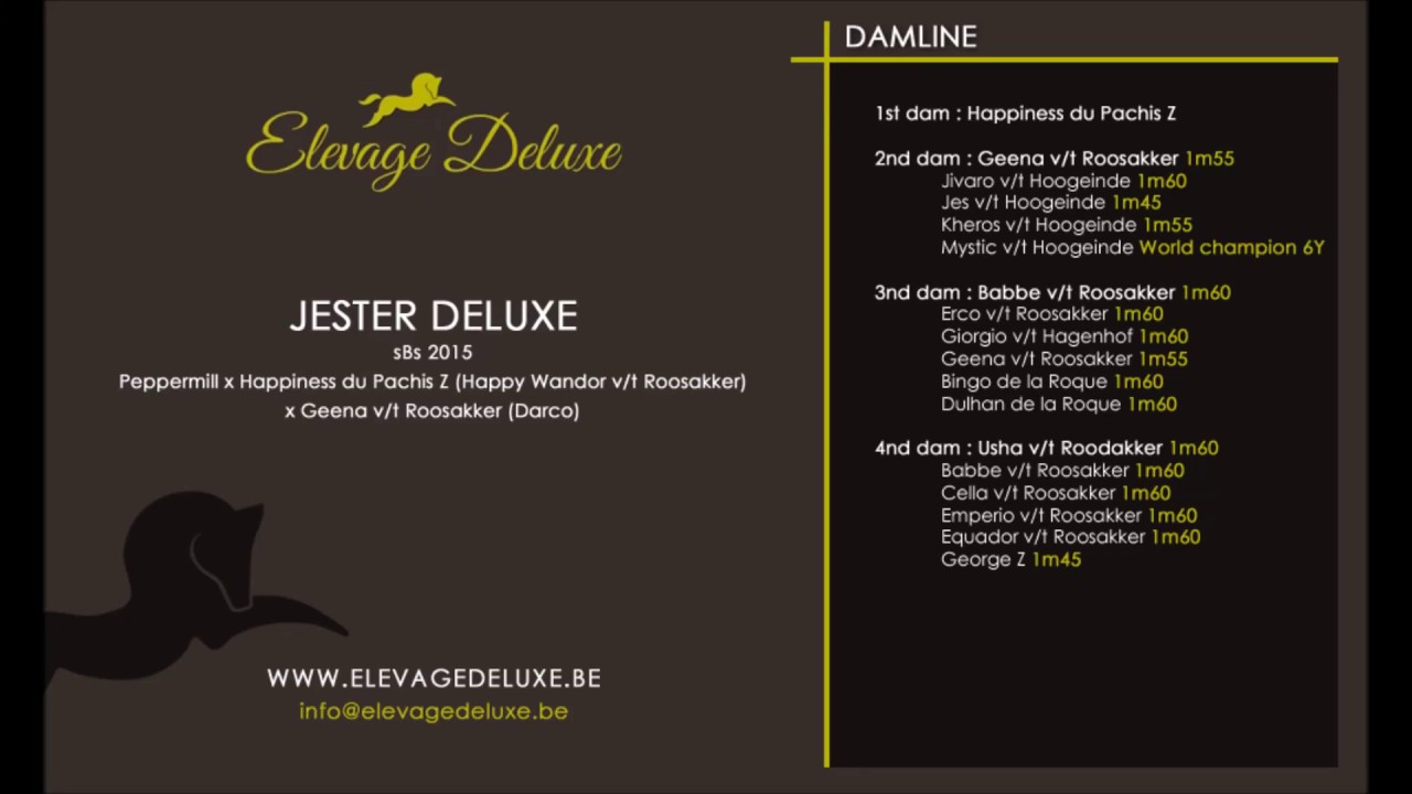 Jester Deluxe • Entraînement début des 5 ans • Souche Geena v/h ...
