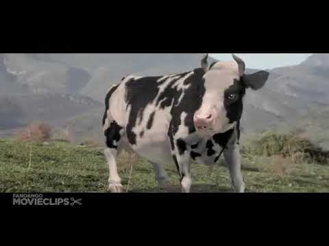 Filim kar toon af somali ya