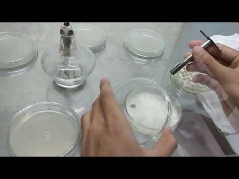Process of well diffusion method - YouTube