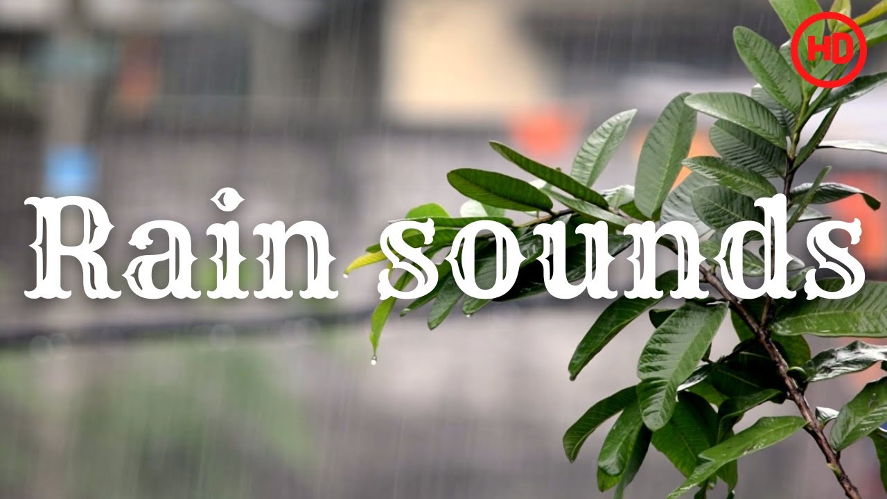 Rain Sounds for Sleep and Study: The Best way to Relax and Get Good ...