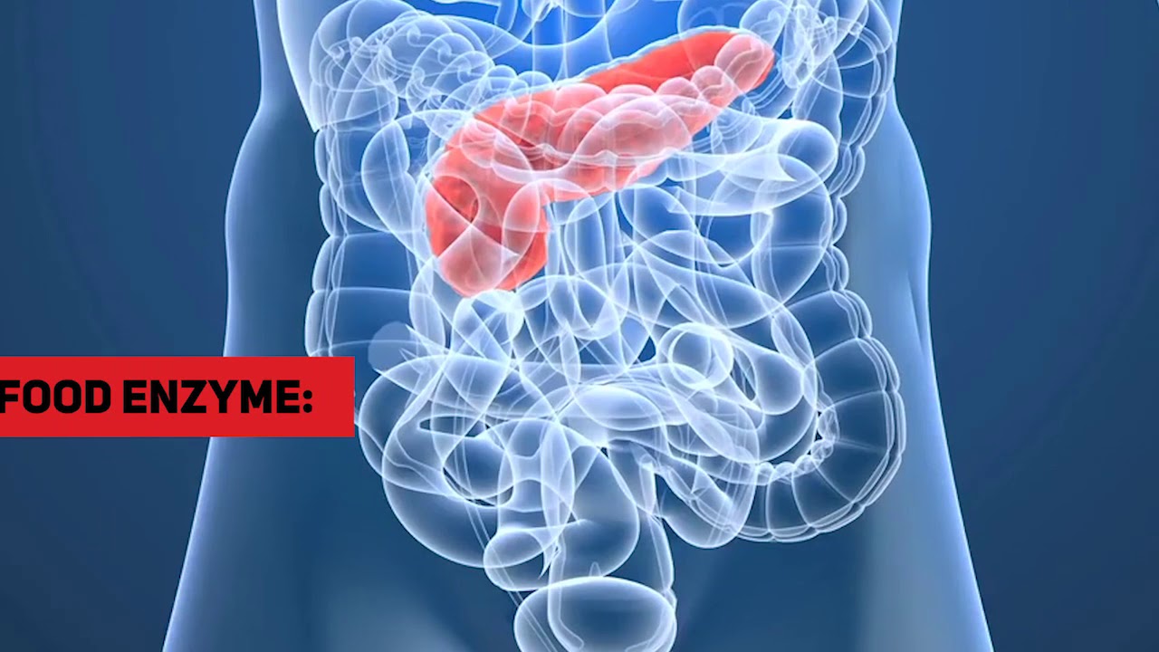 Life Enzyme Natural Enzyme Complex with Probiotics - YouTube
