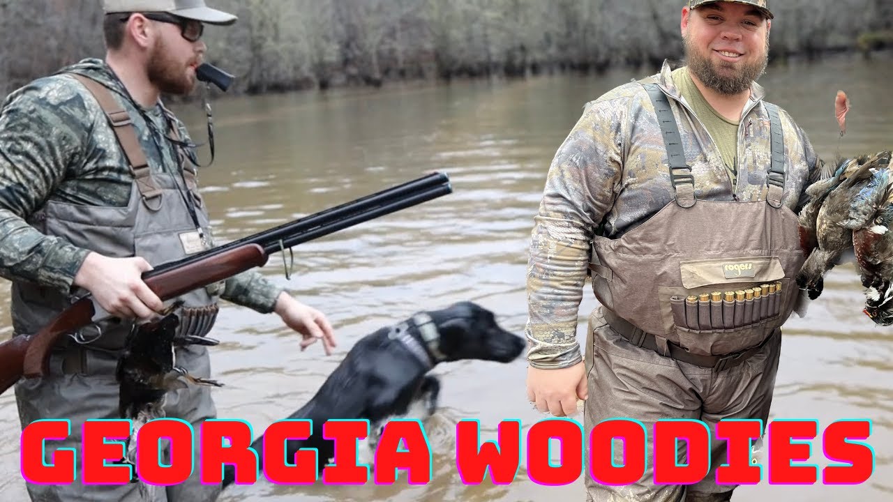 GEORGIA WOOD DUCK HUNTING | December 10th wood duck hunt - YouTube