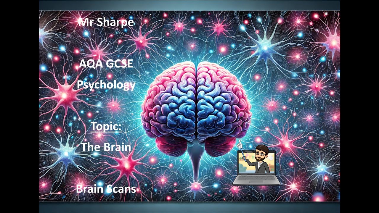 Brain Scans and Tulving’s Gold Study Psychology AQA GCSE Recision Video ...
