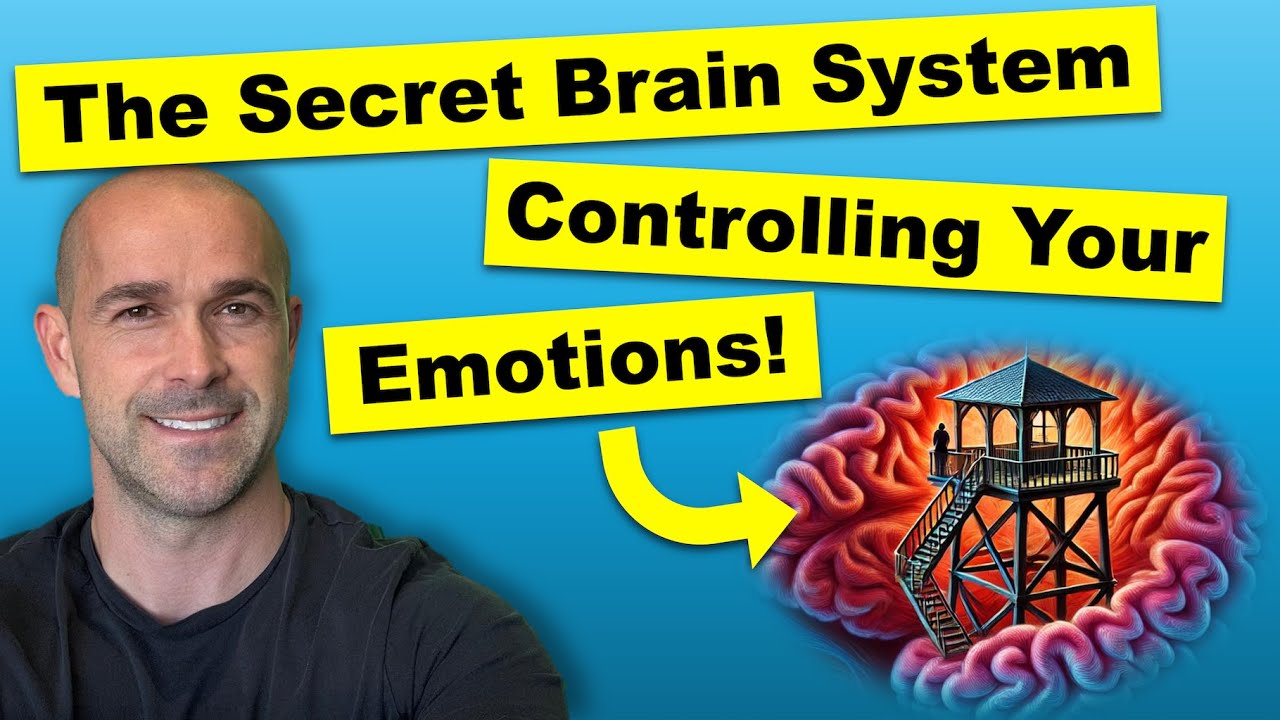 Your Brain’s Secret Control Centre! - YouTube