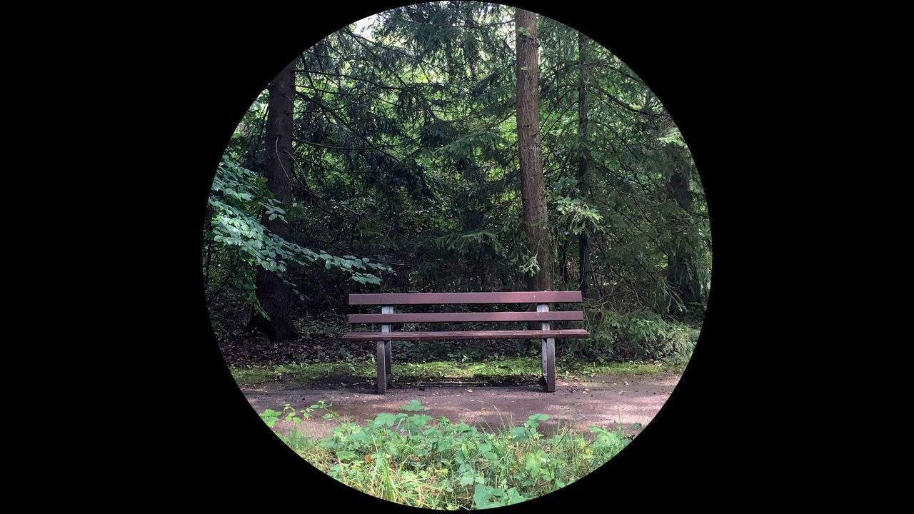 Northern Dusk - Acid And All That