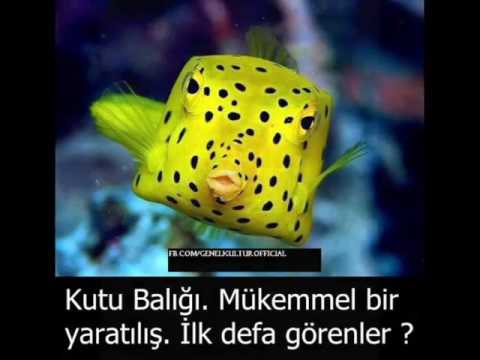 32 SANİYELİK KISA VE ÖZ BİLGİLER