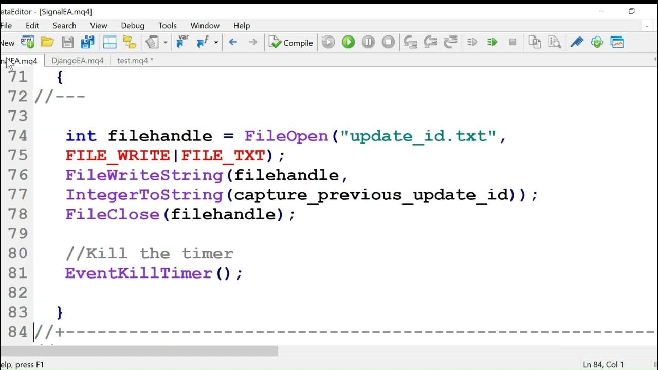 MQL4 MQL5 Course: EA Template - YouTube