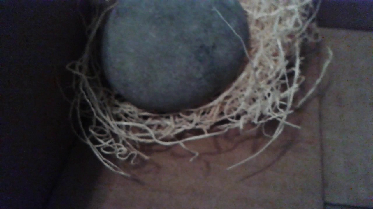 Pet rock saterday: showing my pet rock house - YouTube