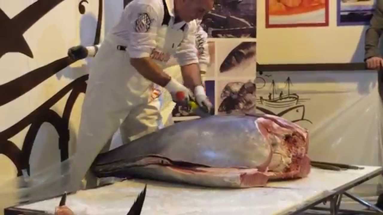 Ronqueo del Atun Rojo Fitur2015 Petaca Chico 3 - YouTube