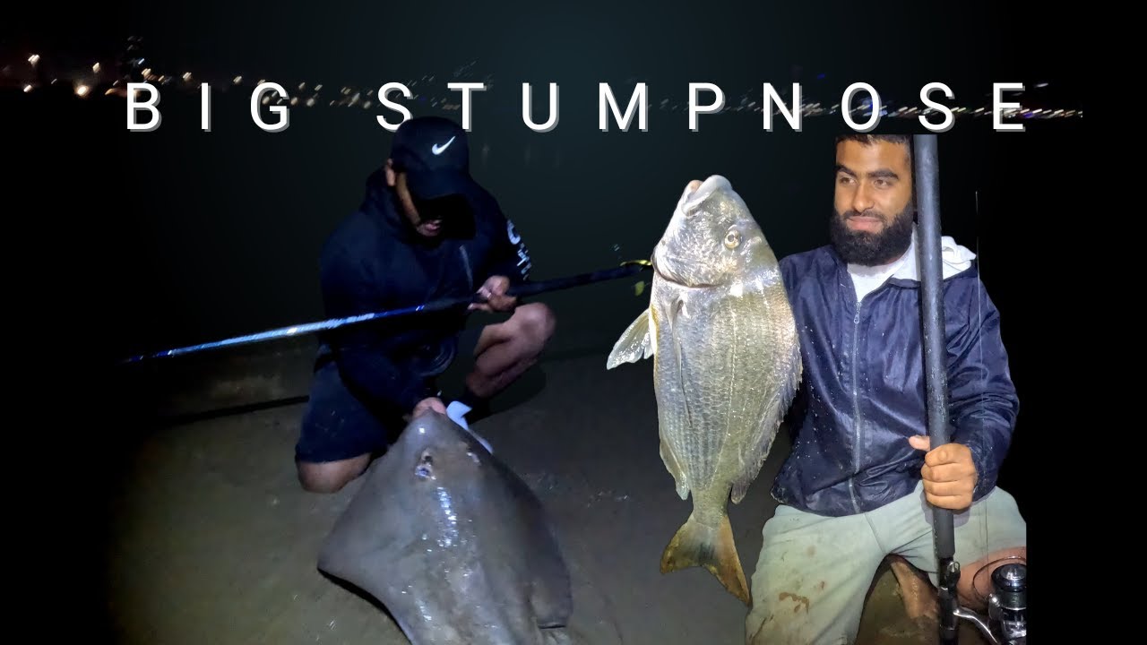 Big STUMPNOSE & BLUE RAY action! | Durban Basin is ON FIRE! - YouTube
